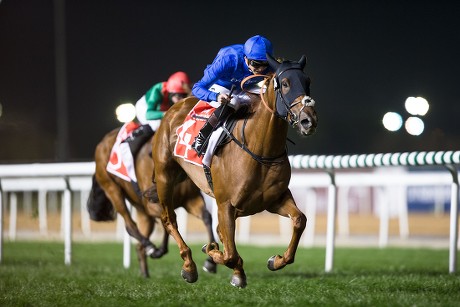 Horse Racing - 3 Mar 2016 Stock Pictures, Editorial Images and Stock ...
