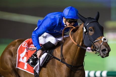 Horse Racing - 3 Mar 2016 Stock Pictures, Editorial Images and Stock ...