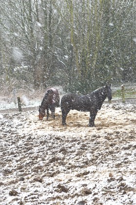 10 Snow falls in Clowne, North Derbyshire, Britain - 04 Mar 2016 Stock ...
