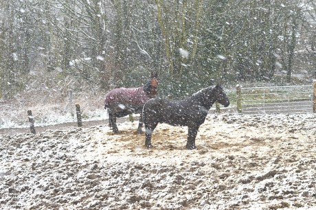 10 Snow falls in Clowne, North Derbyshire, Britain - 04 Mar 2016 Stock ...