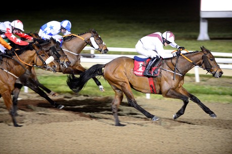 Dundalk Eshtiaal Lisa Oneill Win Trainer Editorial Stock Photo - Stock ...