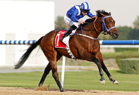 Muarrab Paul Hanagan Wins Mahab Al Editorial Stock Photo - Stock Image ...