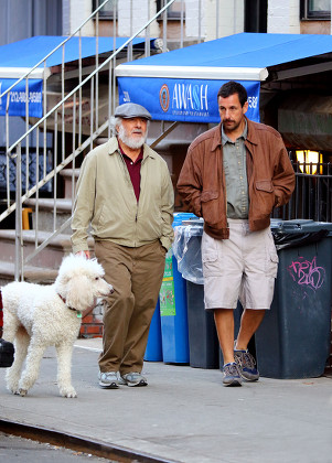 Dustin Hoffman Adam Sandler Editorial Stock Photo - Stock Image ...