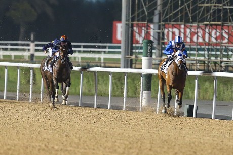 Dubai Meydan Race Track Moosir Paul Editorial Stock Photo - Stock Image ...