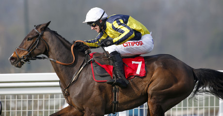 Nipper Gavin Sheehan Leading First Circuit Editorial Stock Photo ...