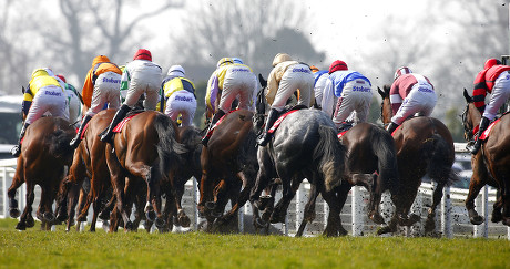 Barney Dawn Paddy Brennan Winning 30th Editorial Stock Photo - Stock ...
