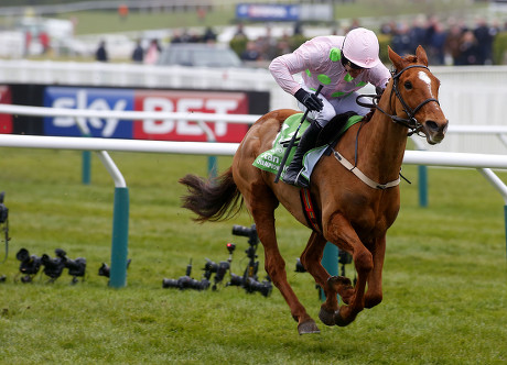 Annie Power Ruby Walsh Winning Stan Editorial Stock Photo - Stock Image ...