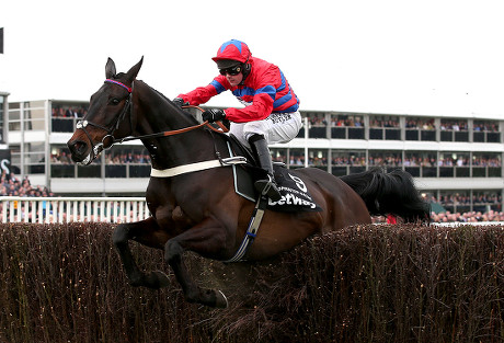 Sprinter Sacre Ridden By Nico De Editorial Stock Photo - Stock Image ...