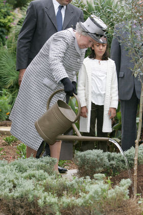 Queen Elizabeth Ii Tree Planting Ceremony Editorial Stock Photo - Stock ...