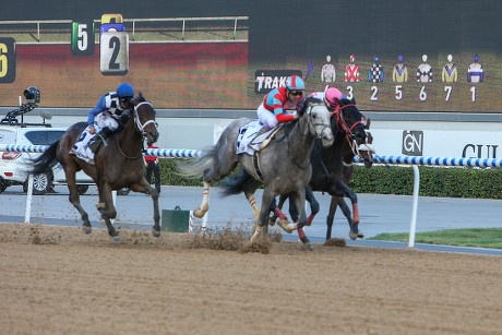 Lani Yutaka Take Win Race 4 Editorial Stock Photo - Stock Image ...