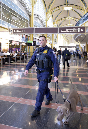 Police Patrol Ronald Reagan National Airport Editorial Stock Photo ...