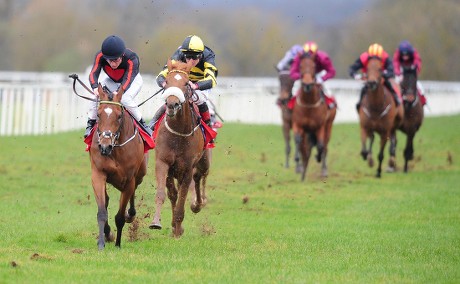 Cork Jet Setting Shane Foley Win Editorial Stock Photo - Stock Image ...