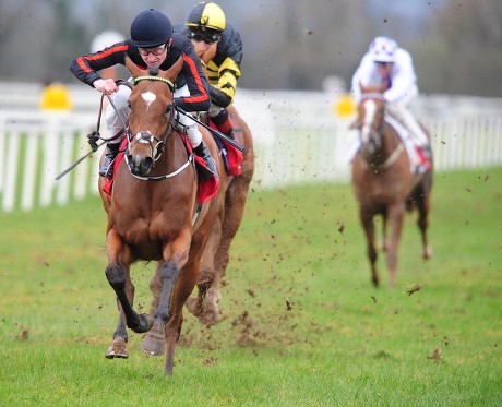 Cork Jet Setting Shane Foley Win Editorial Stock Photo - Stock Image ...
