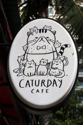 Caturday Cat Cafe Sign Editorial Stock Photo - Stock Image | Shutterstock