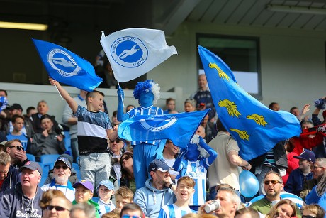 Young Brighton Fans Flags During Sky Editorial Stock Photo - Stock ...