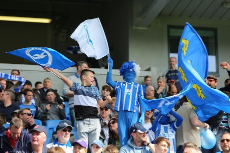 Young Brighton Fans Flags During Sky Editorial Stock Photo - Stock ...
