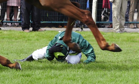 Horse Racing - 8 Apr 2016 Stock Pictures, Editorial Images and Stock ...