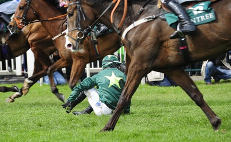 Horse Racing - 8 Apr 2016 Stock Pictures, Editorial Images and Stock ...