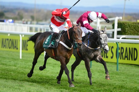 __COUNT__ Horse Racing - 8 Apr 2016 Stock Pictures, Editorial Images ...