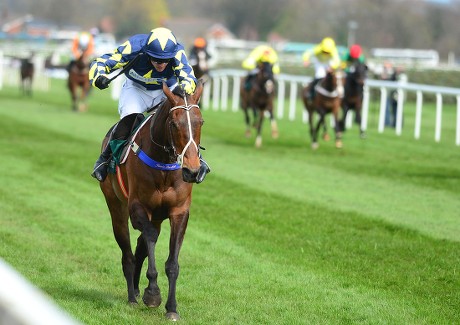 __COUNT__ Horse Racing - 8 Apr 2016 Stock Pictures, Editorial Images ...