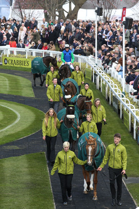 Former Grand National Winning Horses Walked Editorial Stock Photo ...