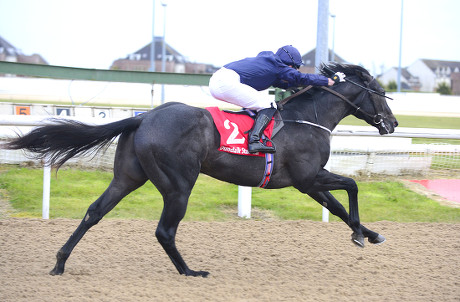Dundalk Caravaggio Seamie Heffernan Winning Trainer Editorial Stock ...