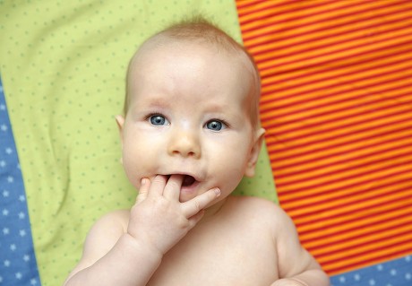 Model Released Baby 6 Months Old Editorial Stock Photo - Stock Image ...