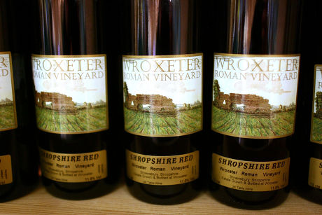 __COUNT__ THE WROXETER VINEYARD, SHREWSBURY, BRITAIN - OCT 2005 Stock ...