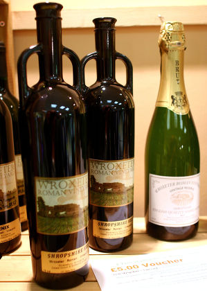 __COUNT__ THE WROXETER VINEYARD, SHREWSBURY, BRITAIN - OCT 2005 Stock ...