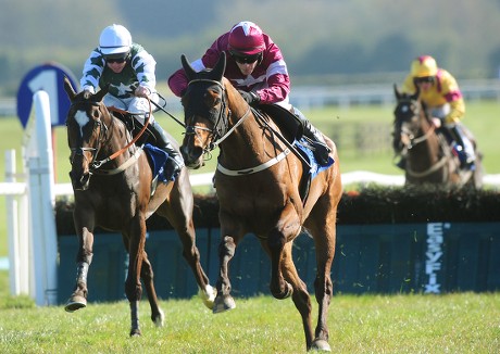 Fairyhouse Dinnies Vinnie Luke Dempsey Jump Editorial Stock Photo ...