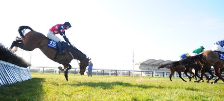 Fairyhouse Dinnies Vinnie Luke Dempsey Jump Editorial Stock Photo ...