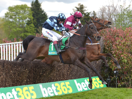 L Menorah Richard Johnson Champion Jumps Editorial Stock Photo - Stock ...