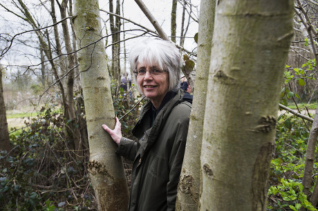 imágenes de First native ash tree highly tolerant to Ash Dieback ...
