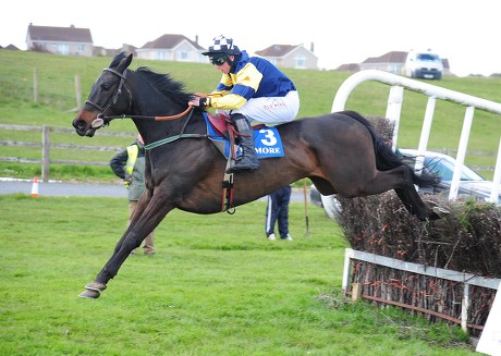 Tramore Hurricane Ben Jamie Codd Win Editorial Stock Photo - Stock ...