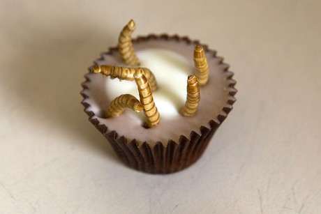 Edible Insect Cake Editorial Stock Photo - Stock Image | Shutterstock
