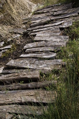 Reproduction Sweet Track Timber Walkway That Editorial Stock Photo ...
