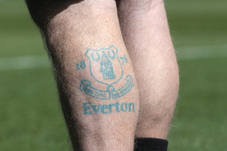 Everton Tattoo Pictured On Calf Member Editorial Stock Photo - Stock ...