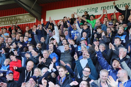 Afc Wimbledon Fans Celebrates Sealing Playoff Editorial Stock Photo ...