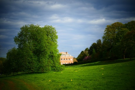 Deer Scenic Surroundings Culham Court On Editorial Stock Photo - Stock ...