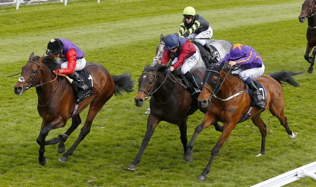 Dartmouth Ryan Moore Black Cap Winning Editorial Stock Photo - Stock ...
