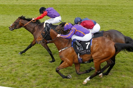 Dartmouth Ryan Moore Black Cap Winning Editorial Stock Photo - Stock ...