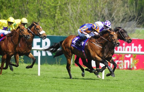 Horse Racing - 8 May 2016 Stock Pictures, Editorial Images and Stock ...