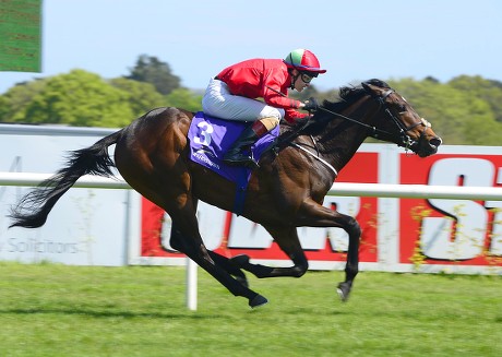 Horse Racing - 8 May 2016 Stock Pictures, Editorial Images and Stock ...