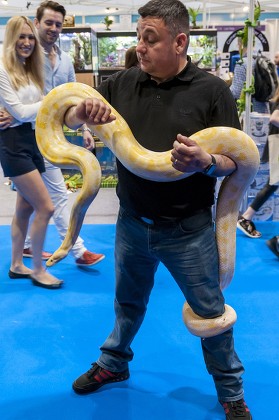 Burmese Python Shown Visitors Huge Crowds Editorial Stock Photo - Stock ...