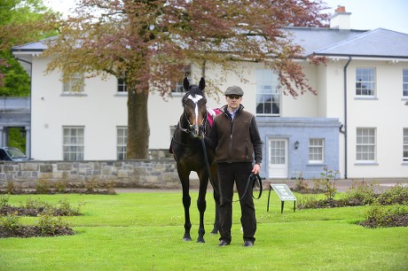 Ballydoyle Stables Us Army Ranger Trainer Editorial Stock Photo - Stock ...