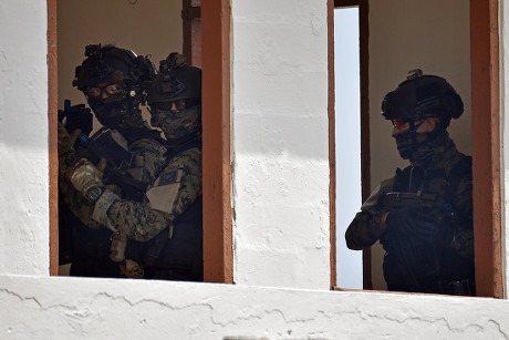 Multinational Counterterrorism Teams Take Down Terrorist Editorial ...