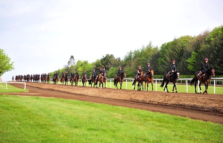 Ballydoyle Stables Trainer Aidan Obrien Horses Editorial Stock Photo ...