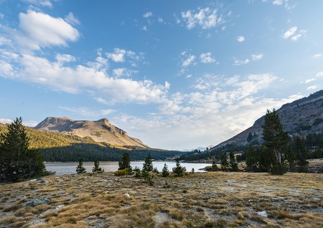 Lake Tioga Inyo National Forest Mono Editorial Stock Photo - Stock ...