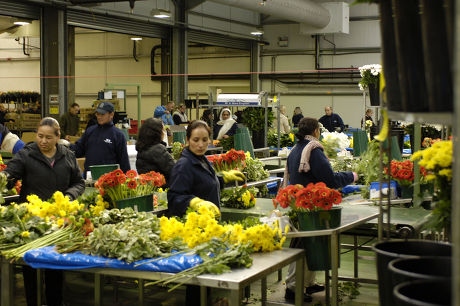 Warehouse Staff On Packing Floor World Editorial Stock Photo - Stock ...