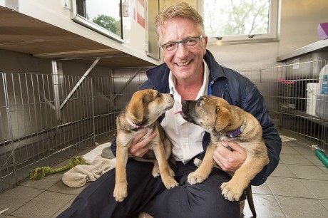 Jeremy Cooper New Chief Exec Rspca Editorial Stock Photo - Stock Image ...